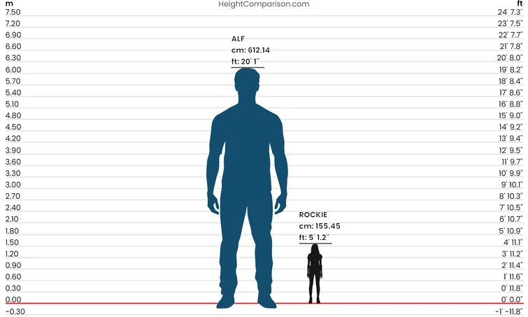 HEIGHT COMPARISION!! | Fandom