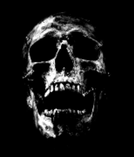 Phase 9 skull | Fandom