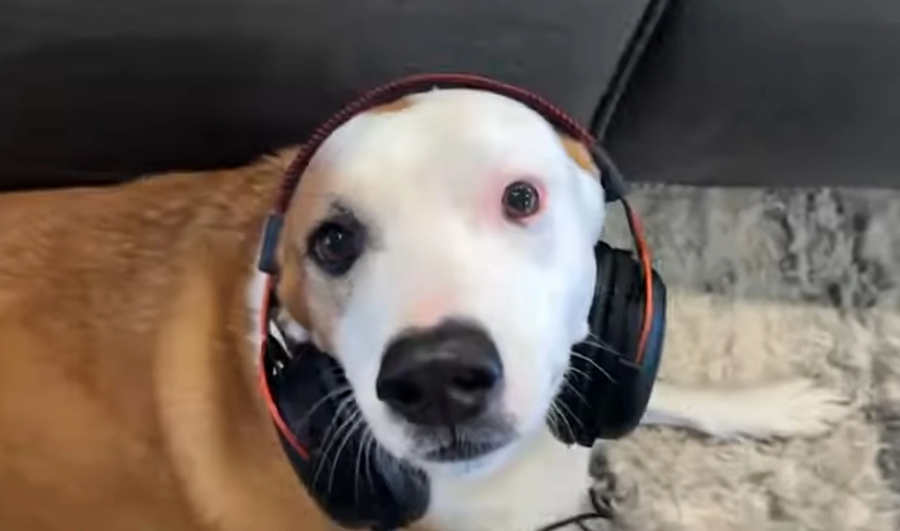 First post on this Wikia! | Fandom