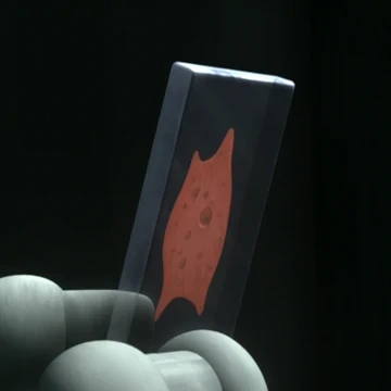 What the Inhibitor Chip Symbolizes | Fandom