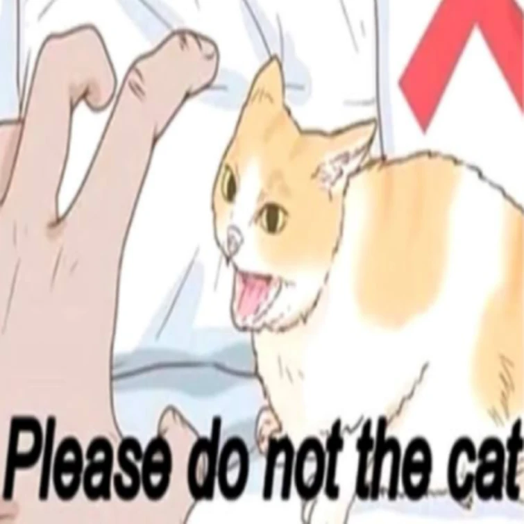 do not the cat | Fandom