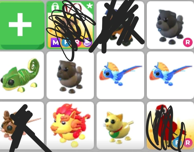 Lf Business, Toy, Preppy, and inmate capuchin monkeys here what I have | Fandom