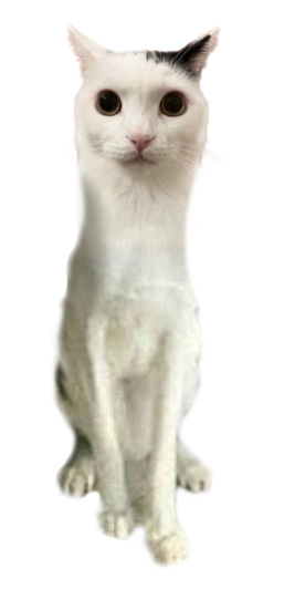 can we talk about the image for jermbo?? | Fandom