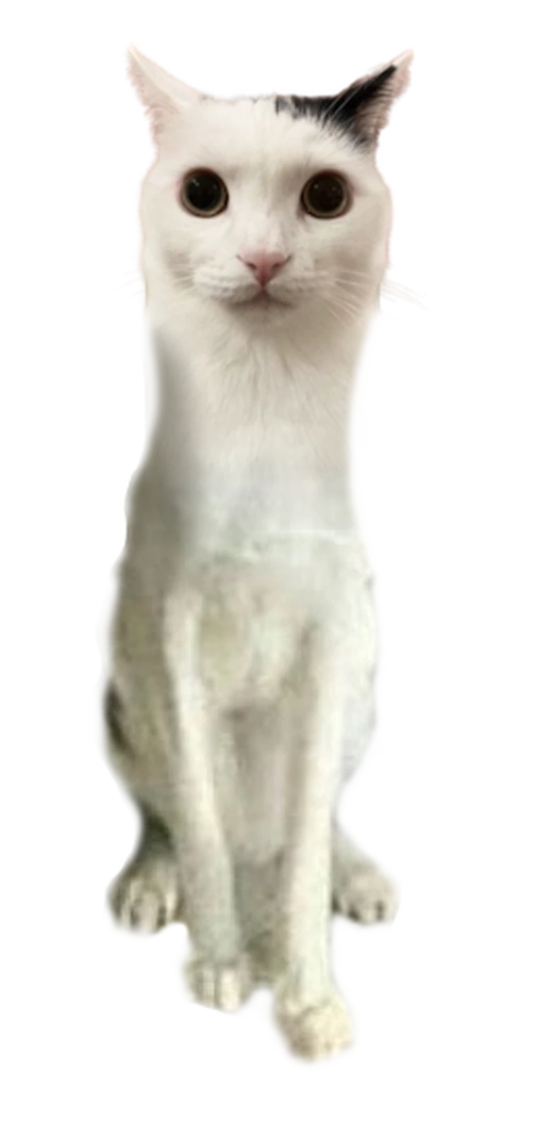 can we talk about the image for jermbo?? | Fandom