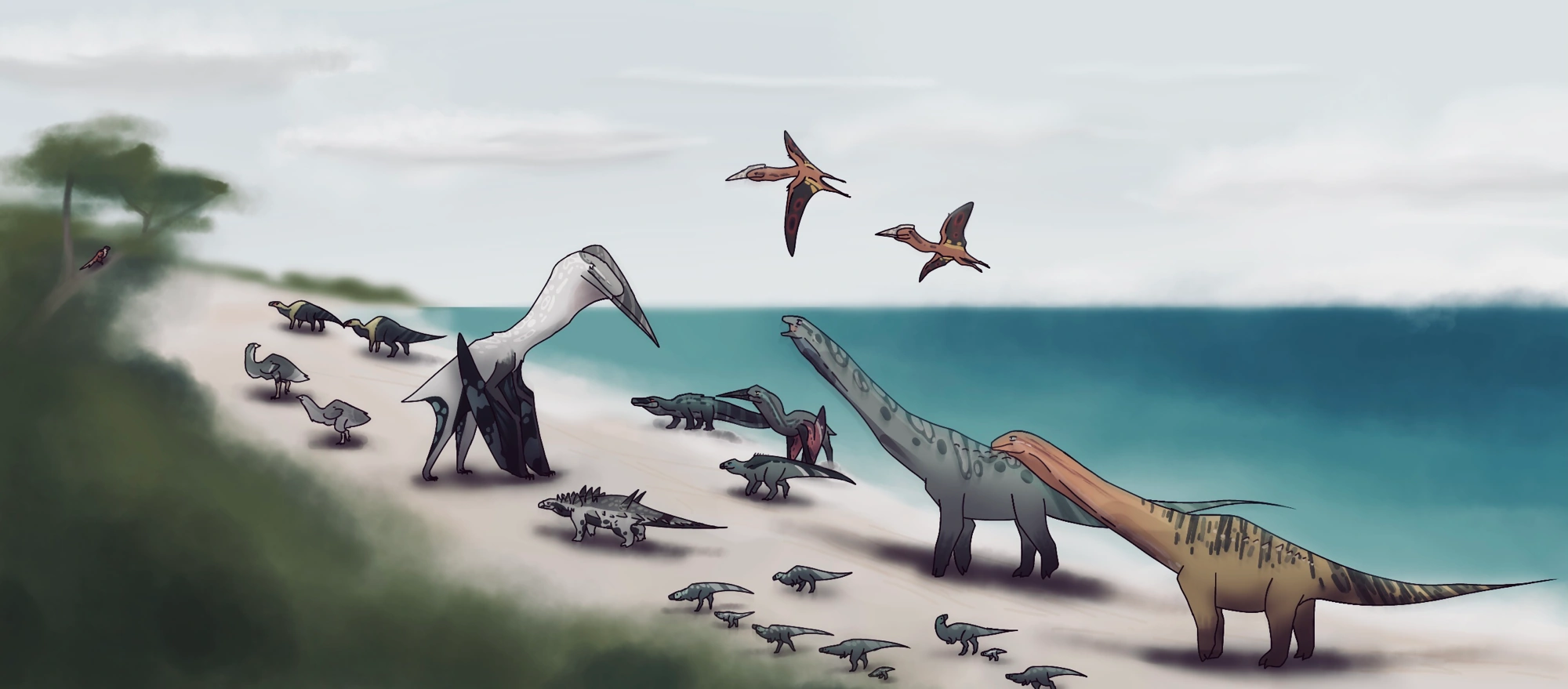 the beaches of Hațeg Island... | Fandom