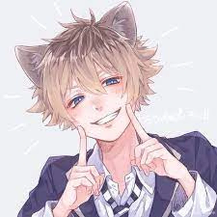 I like cat boys ask me anything | Fandom