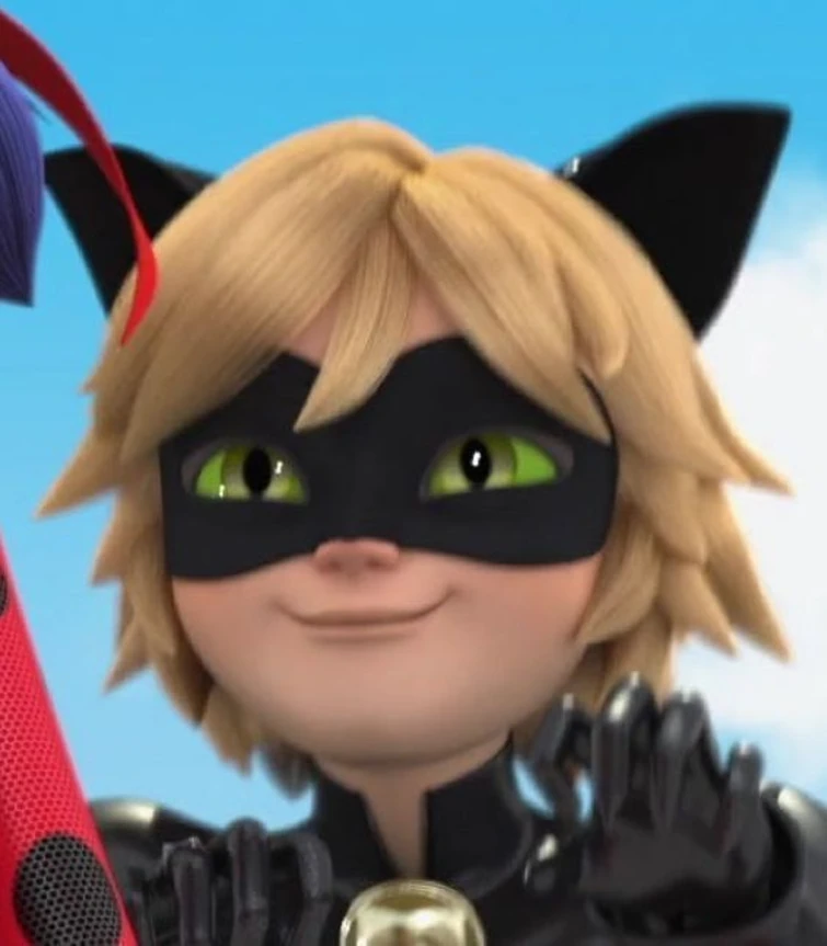 Cat Noir being adorable | Fandom
