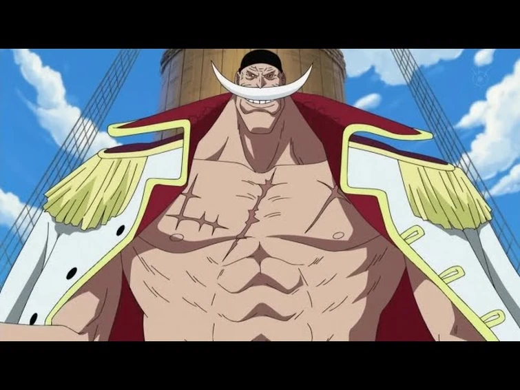 the one piece is fake | Fandom