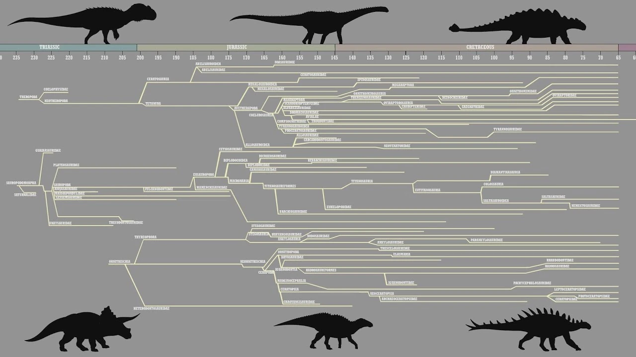 Complex family tree | Fandom
