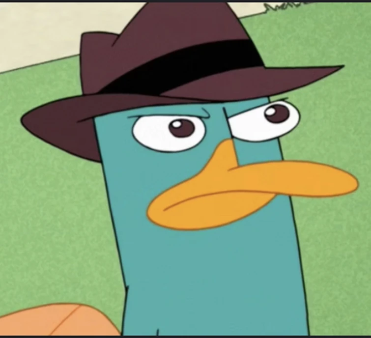 Perry | Fandom