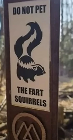 fart squirrels | Fandom