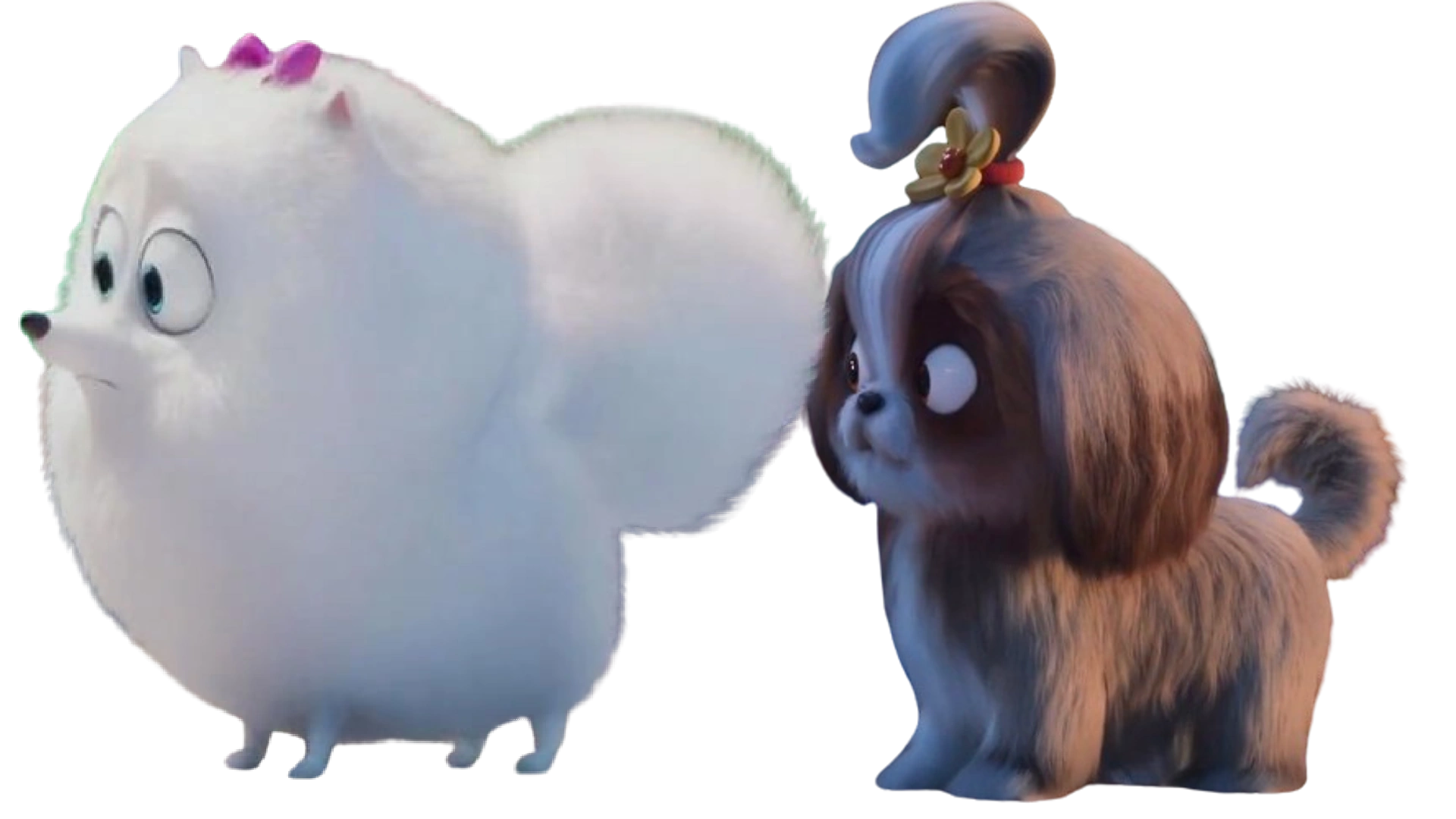 The Secret Life Of Pets Gidget And Daisy PNG. | Fandom