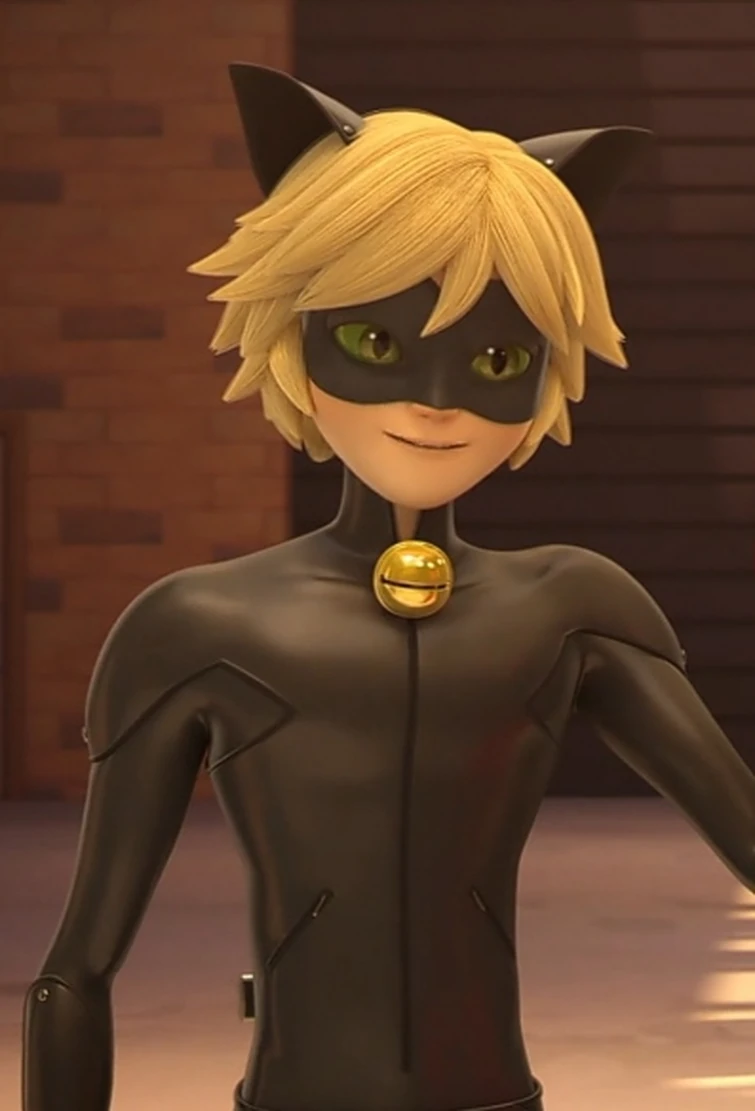 Is Chat noir handsome? | Fandom