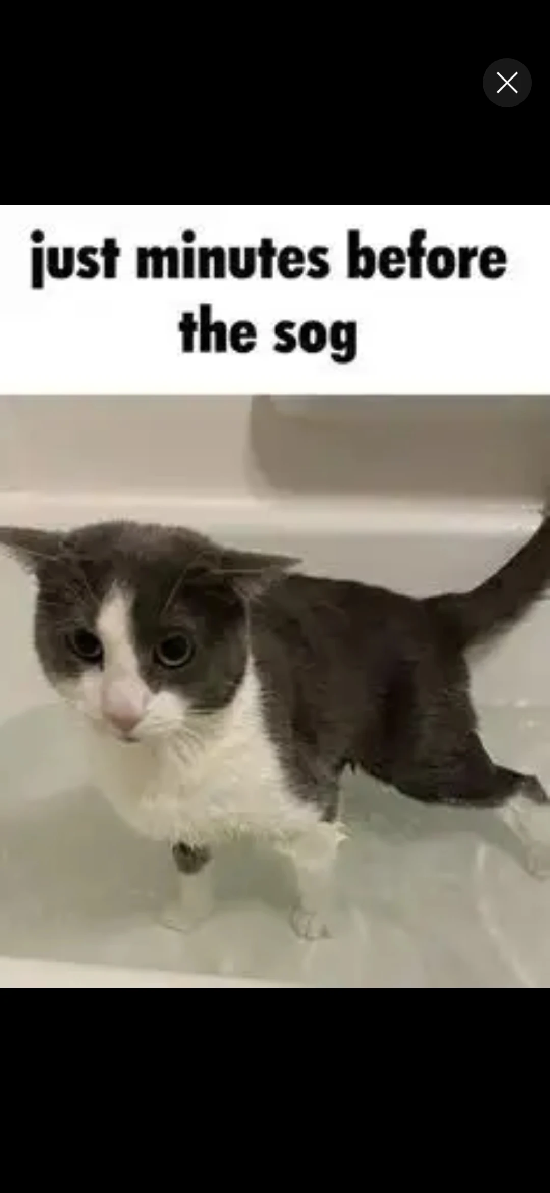 Hi guys its me tom. | Fandom