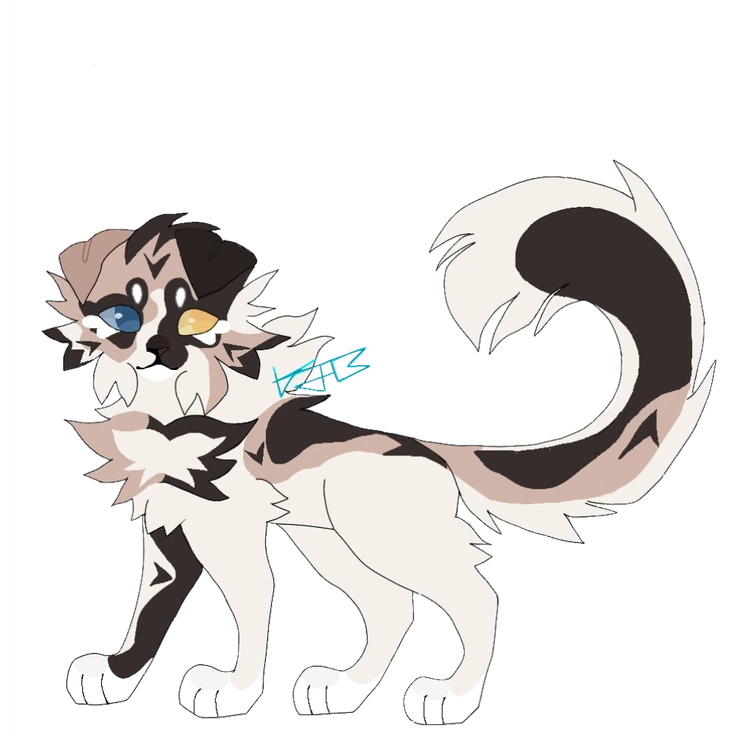 Discuss Everything About Play Wild Item Worth Wiki | Fandom