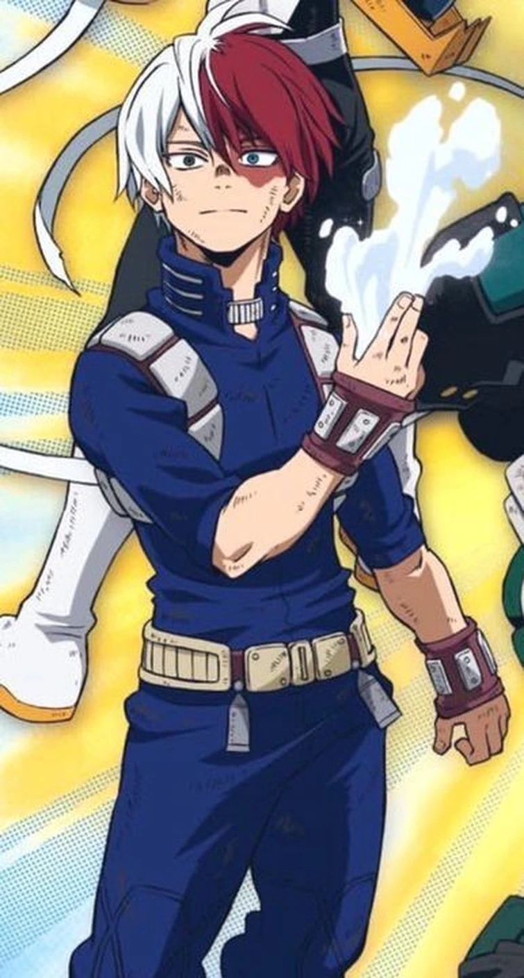 HAPPY BIRTHDAY SHOTO TODOROKI! | Fandom