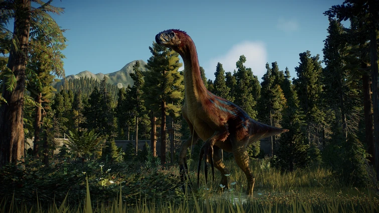 Naming Competition | Fandom