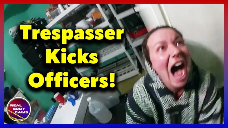 Insane Woman Kicks Officer in Groin, Resists Arrest In Intense ...