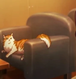 Vbs and cats | Fandom