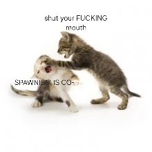 STOP SPAWNISM!!!![tw:swearing] | Fandom