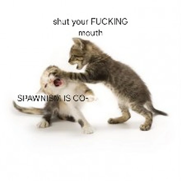 STOP SPAWNISM!!!![tw:swearing] | Fandom