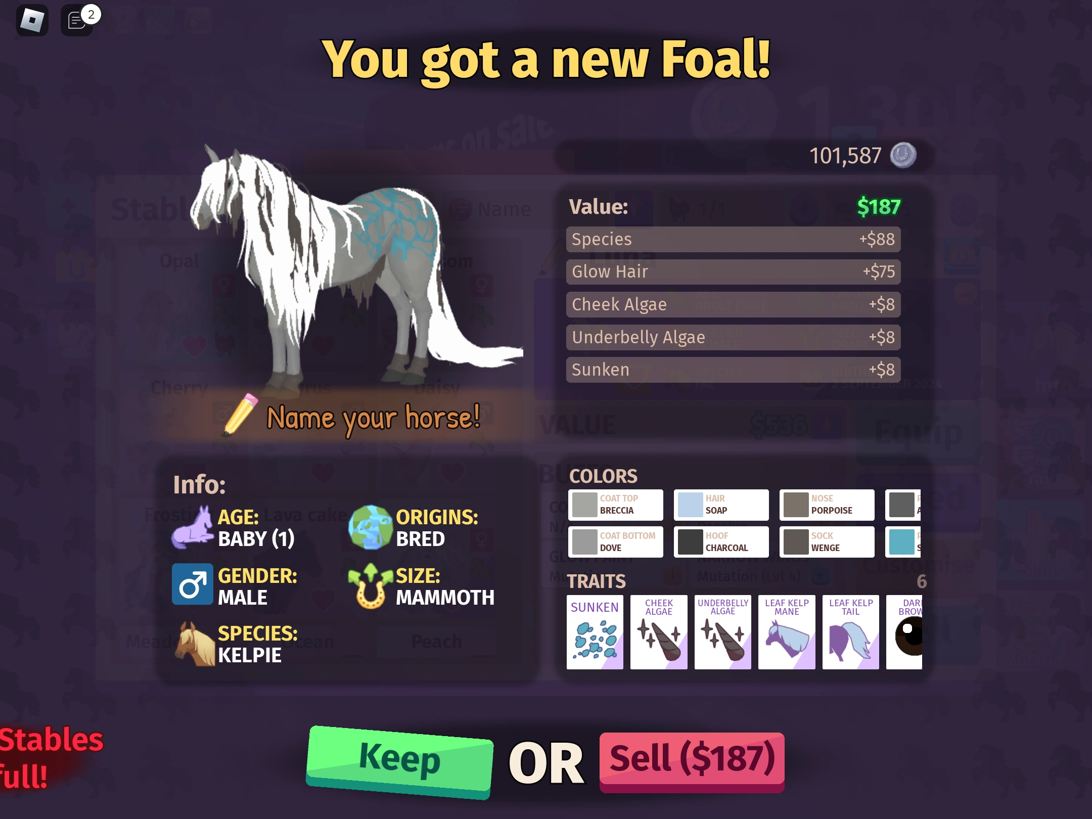 WOAH OHMG??. | Fandom