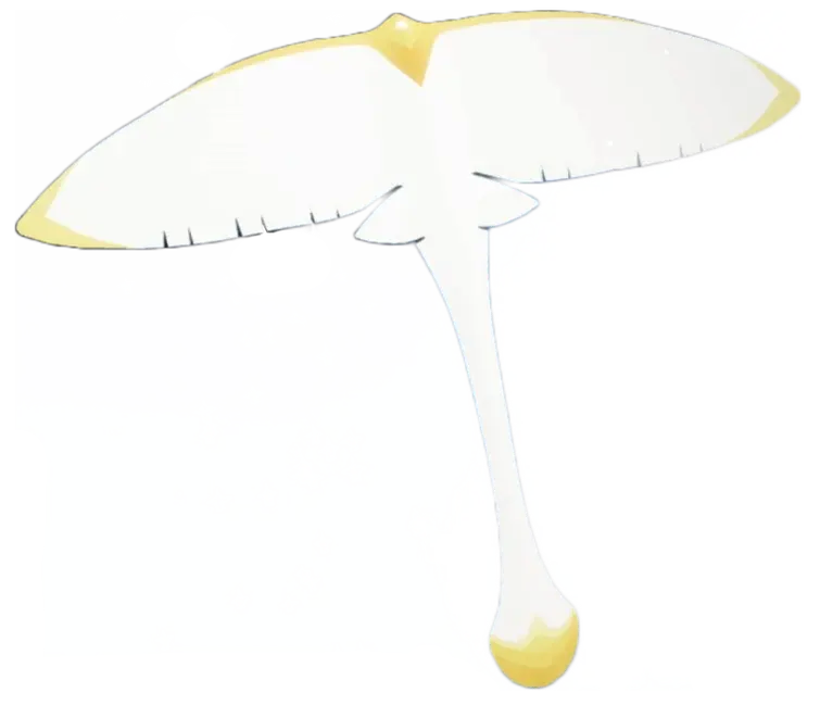 Discuss Everything About Creatures of Sonaria Wiki | Fandom