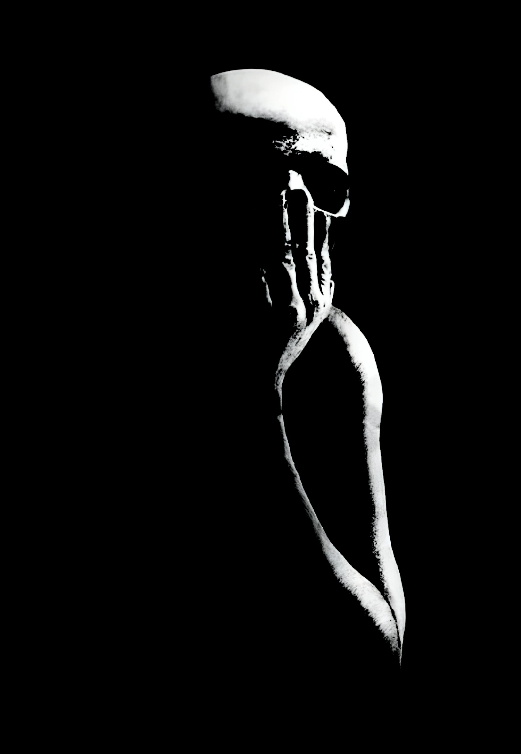 Phase 98 full image attempt | Fandom