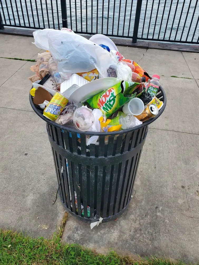 Pokemon The Series: Scarlet and Violet | Fandom