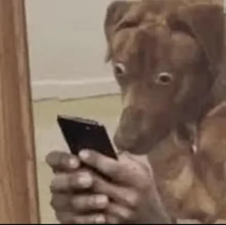 The SpongeBob victory screech | Fandom