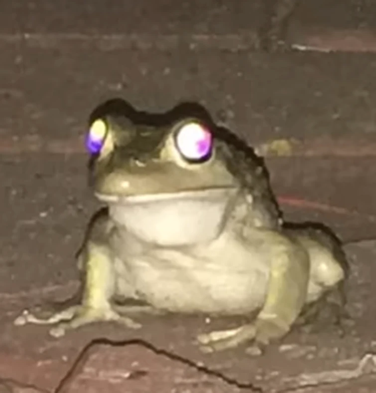 so erm guys | Fandom