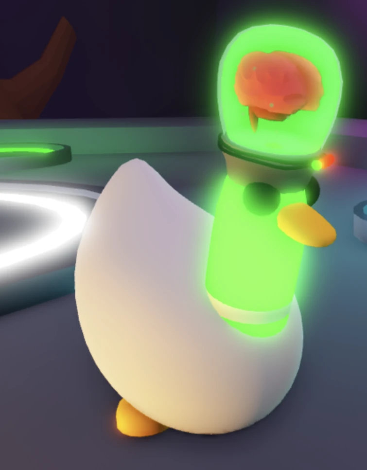 big brain boi | Fandom