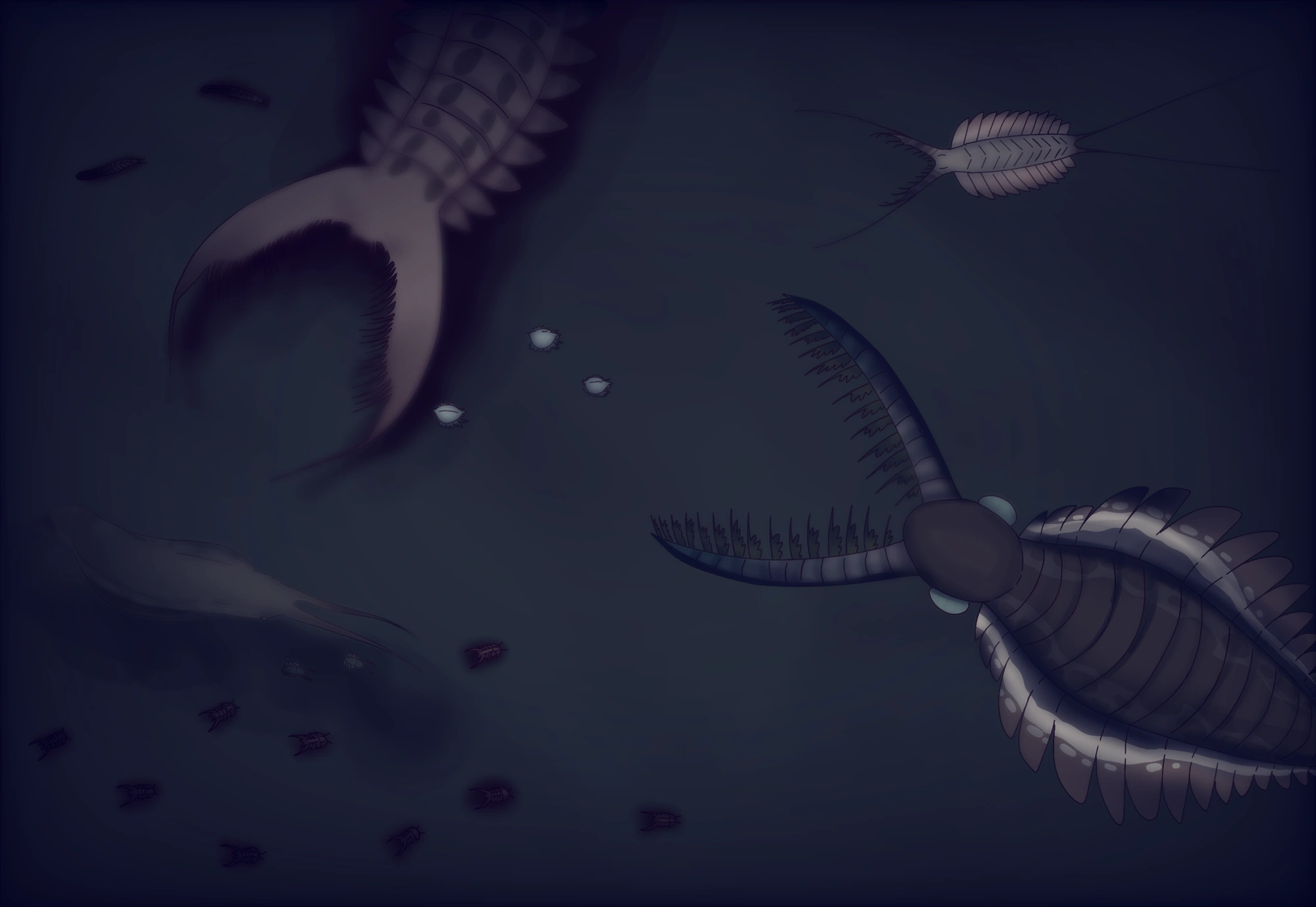 the Sirius Passet fauna | Fandom