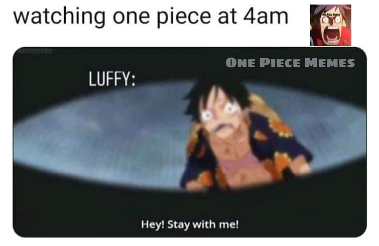 One piece memes pt 3 | Fandom