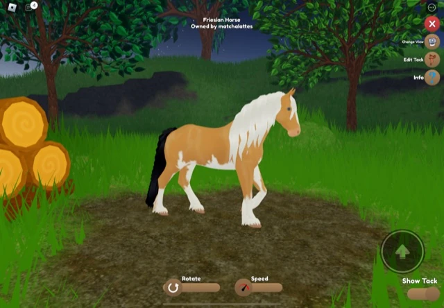 in need of name & tack ideas