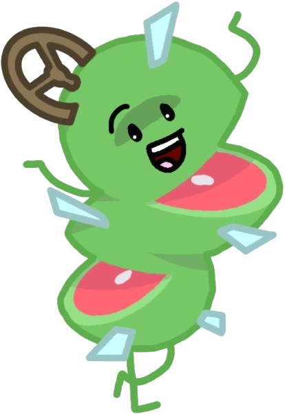 Bonehead happy again apparently | Fandom