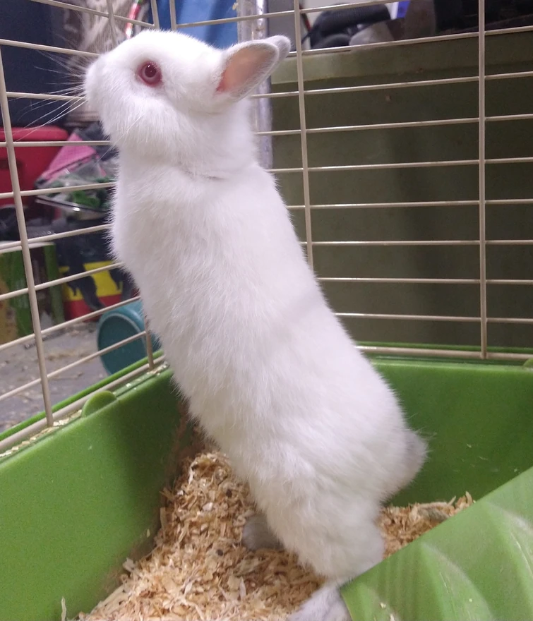 They grow up so fast *sniffle sniffle* | Fandom