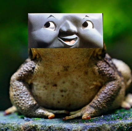 Toad As A Actual Toad | Fandom