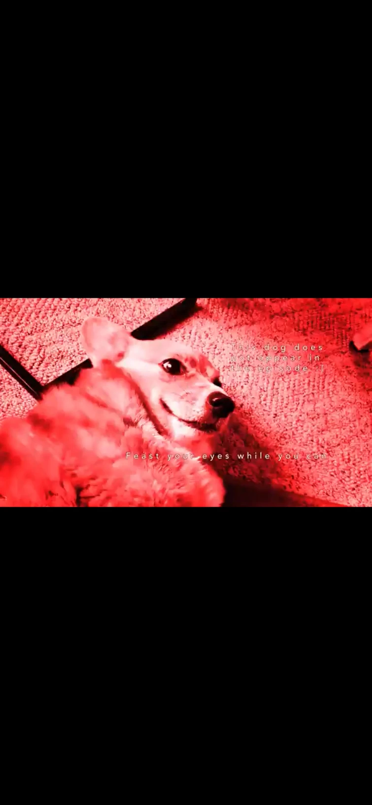 EXPLOSION GUYS | Fandom