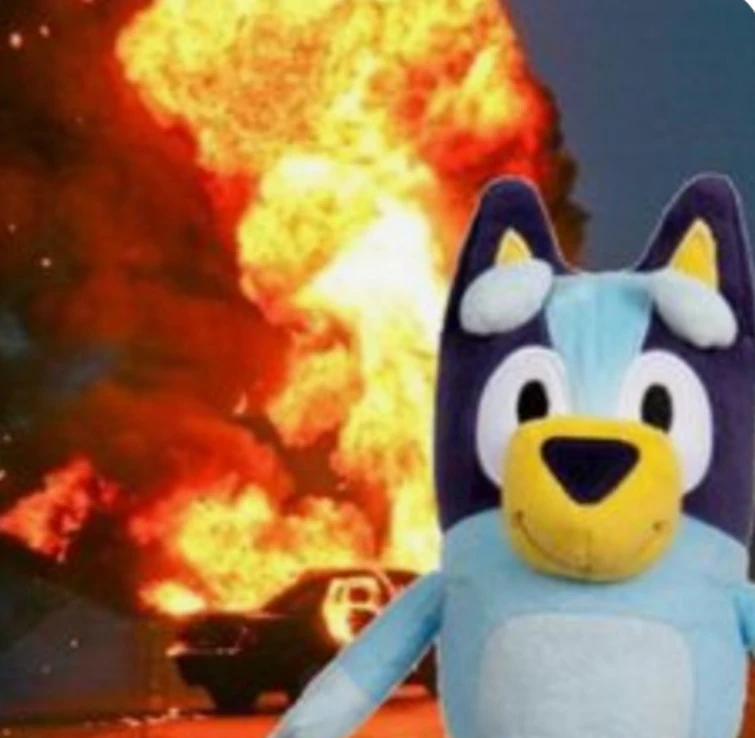 Discuss Everything About Bluey Wiki | Fandom