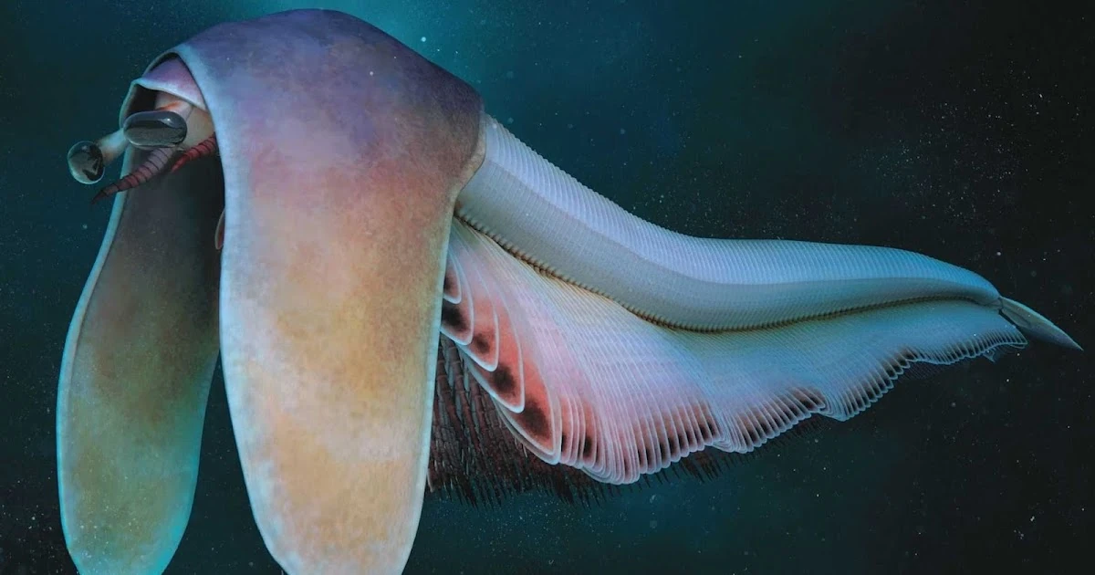 Eldritch Cambrian Monstrosity | Fandom