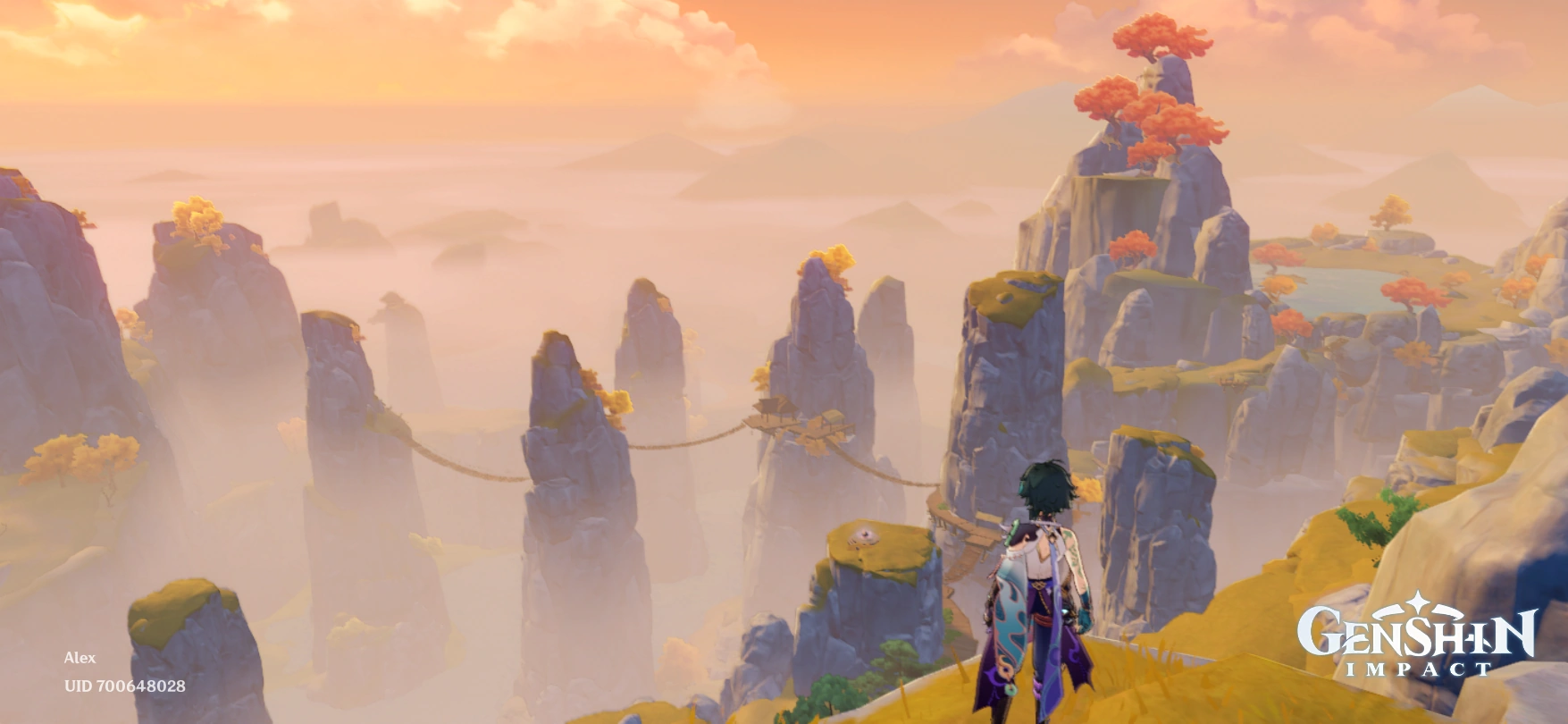 Which is your favorite place in liyue? | Fandom