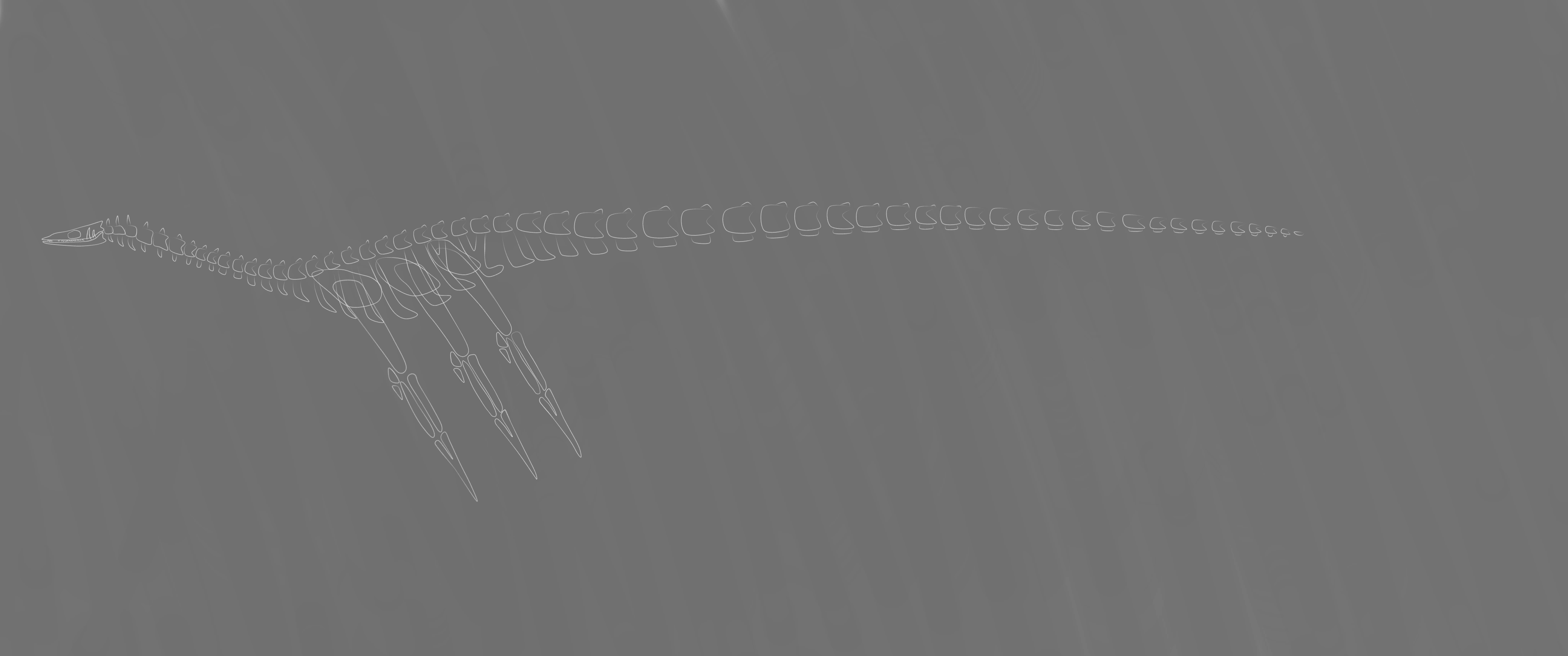 Creature skeletons | Fandom