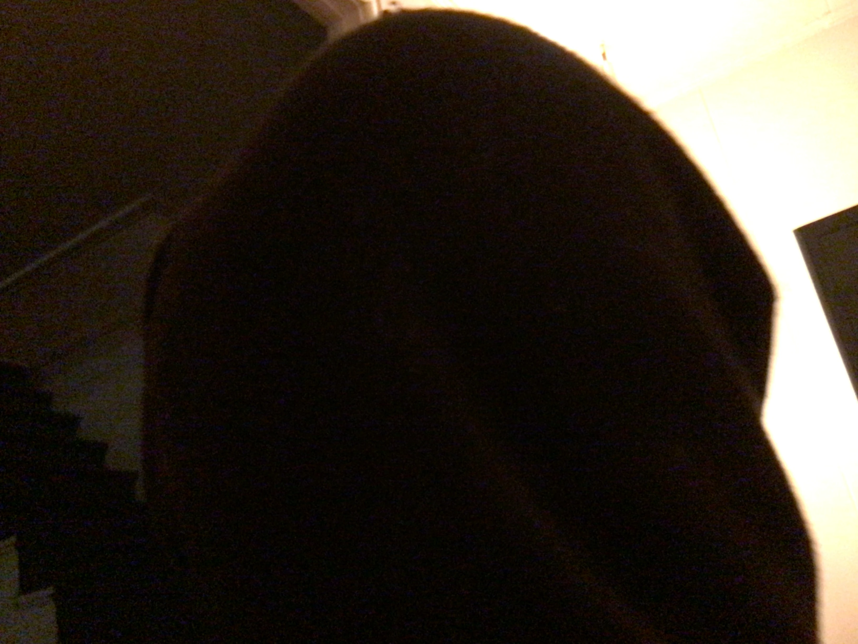 Face reaveal | Fandom