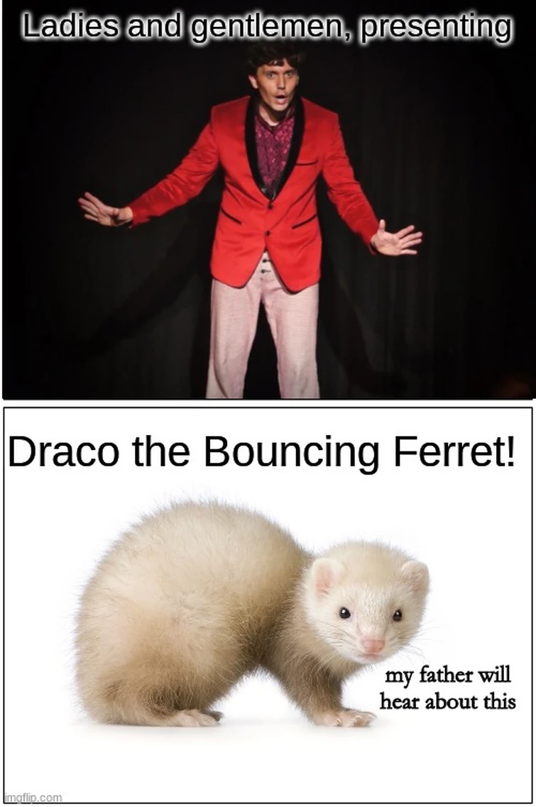 Idk soo how about some ferret memes | Fandom