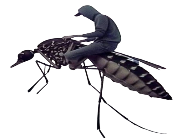 Mosquitocar/mosquito guy or just mosquito | Fandom