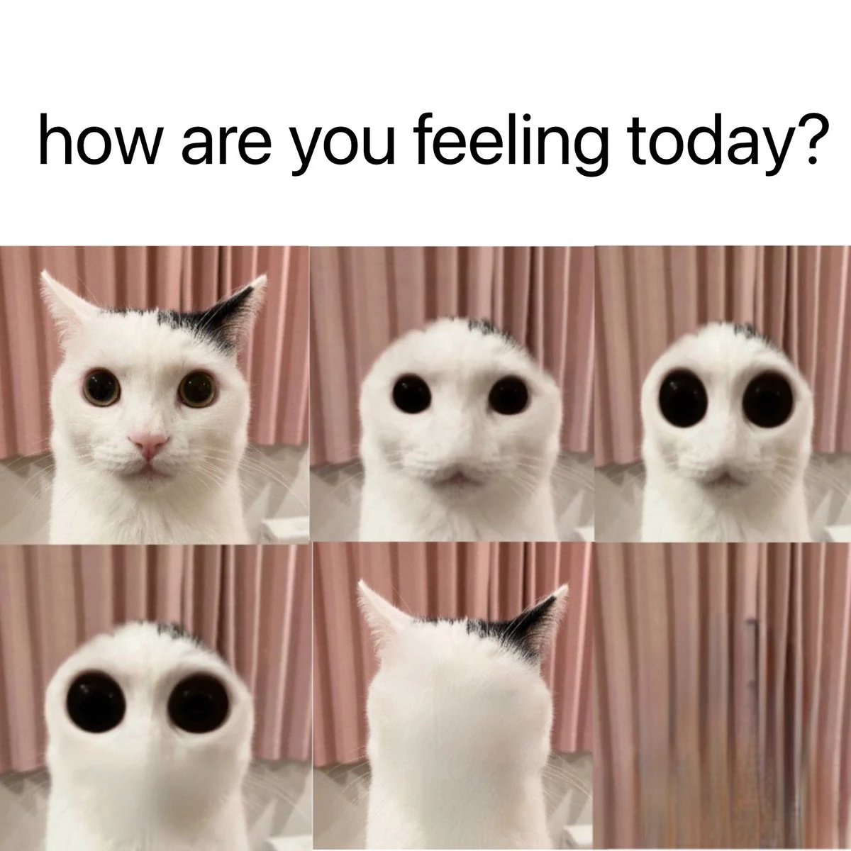 Hello I’m back again:) | Fandom