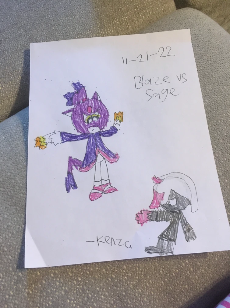 Blaze the cat vs sage | Fandom