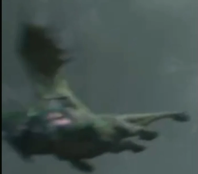 Discuss Everything About How to Train Your Dragon Wiki | Fandom