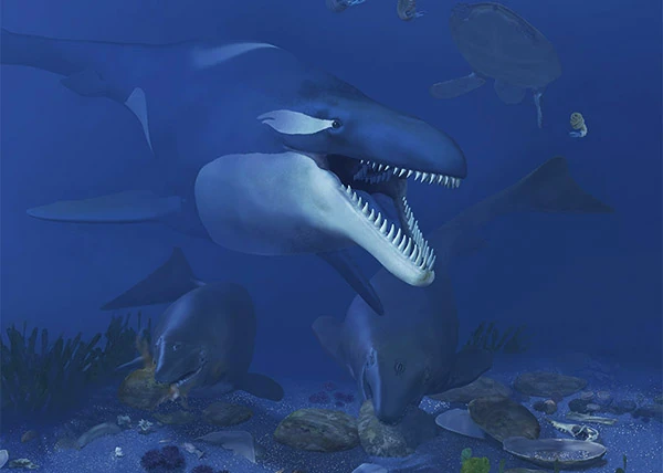 What is everyone's favorite mosasaur? | Fandom